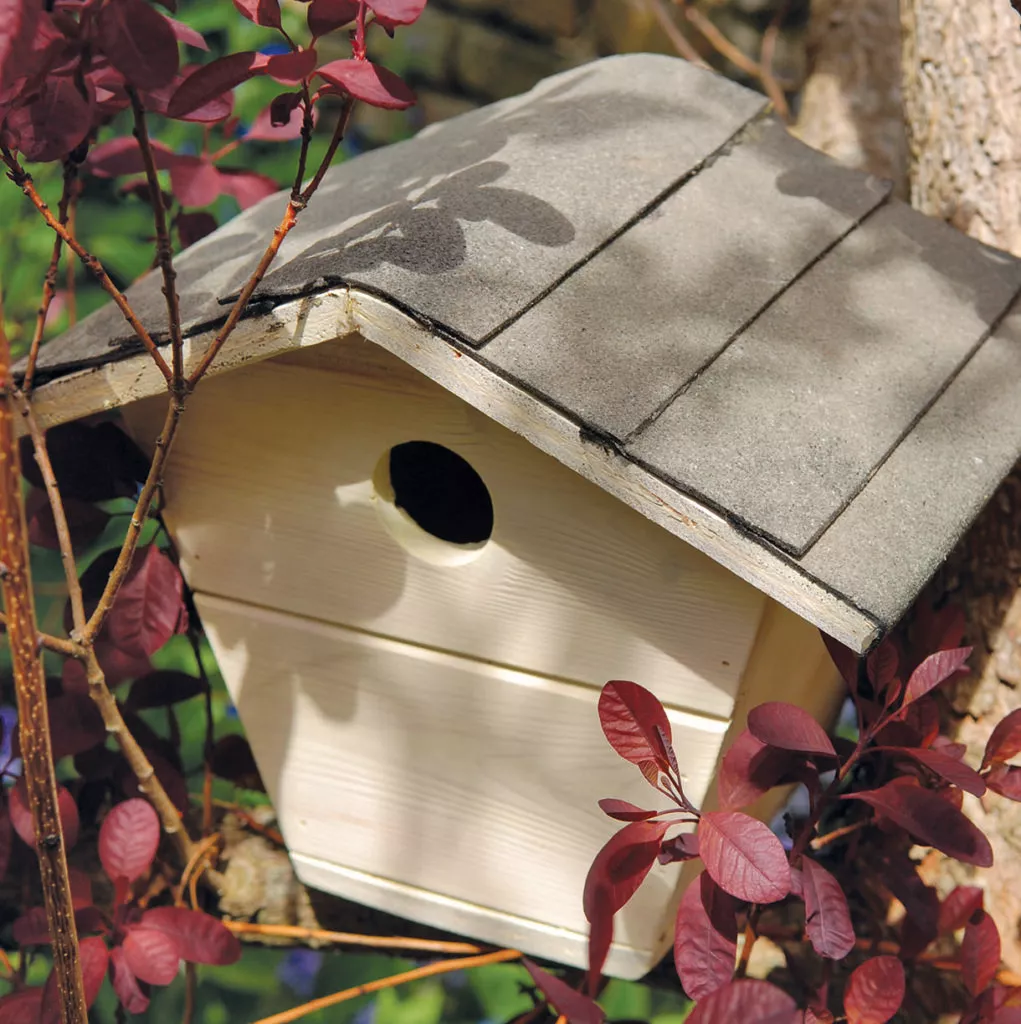 DIY Birdhouse: Adaptable Garden Bird Box Design and Guide
