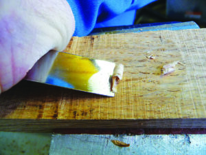 Beginner's Guide to Gouges and Chisels for Woodcarving