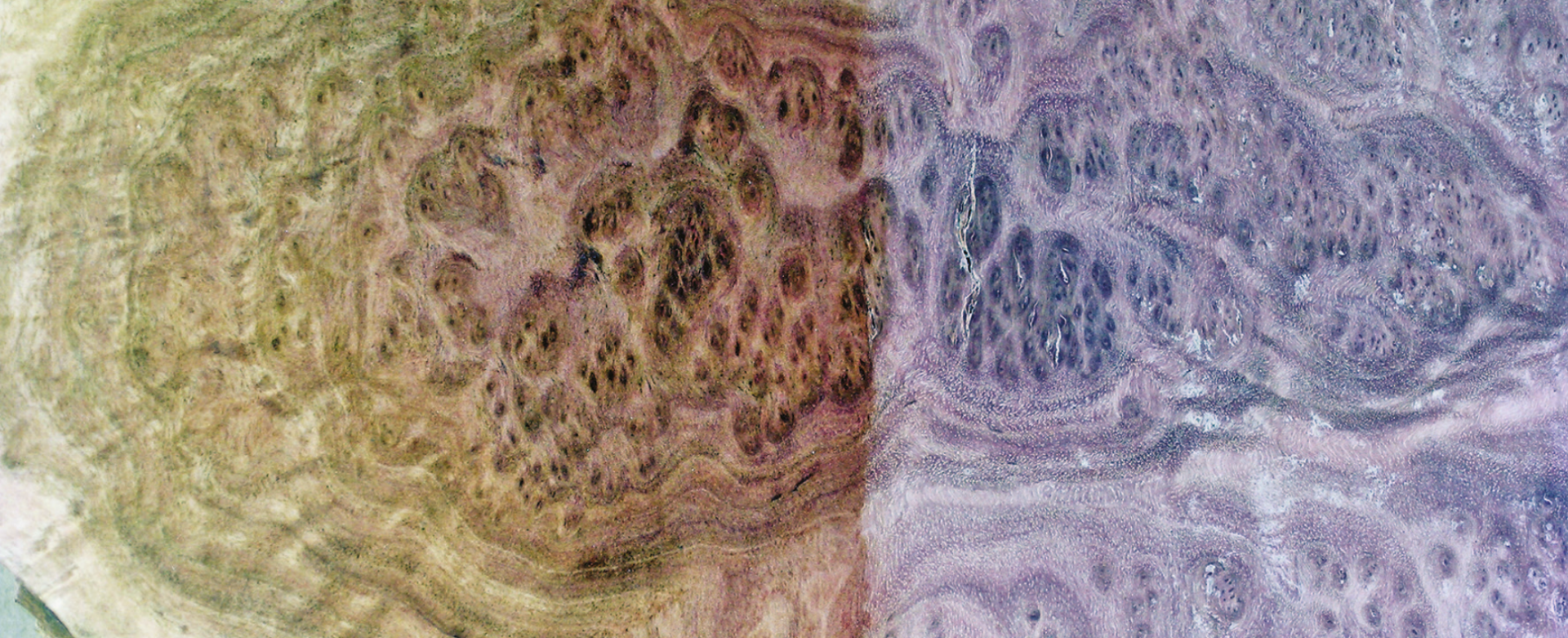 Master Goblet Turning: Tips on Coolabah Burr