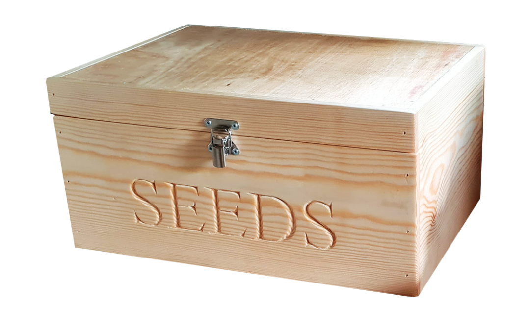 How to Make a Seed Storage Box with Carved Detail