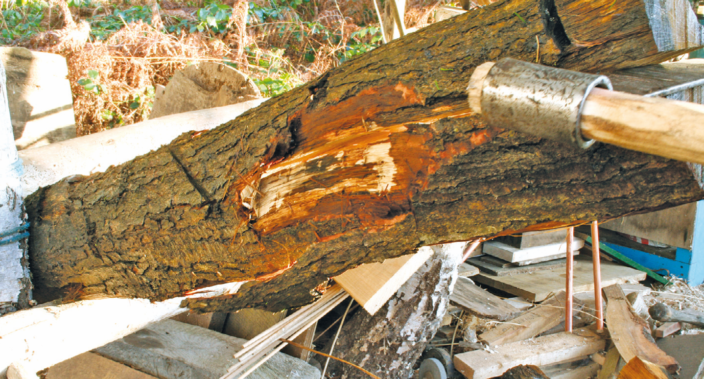 Create a Rustic Gate with Cleft Timber: A DIY Guide
