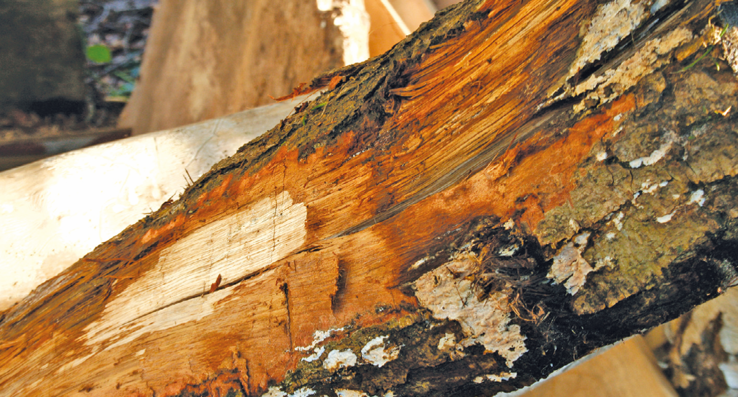 Create a Rustic Gate with Cleft Timber: A DIY Guide