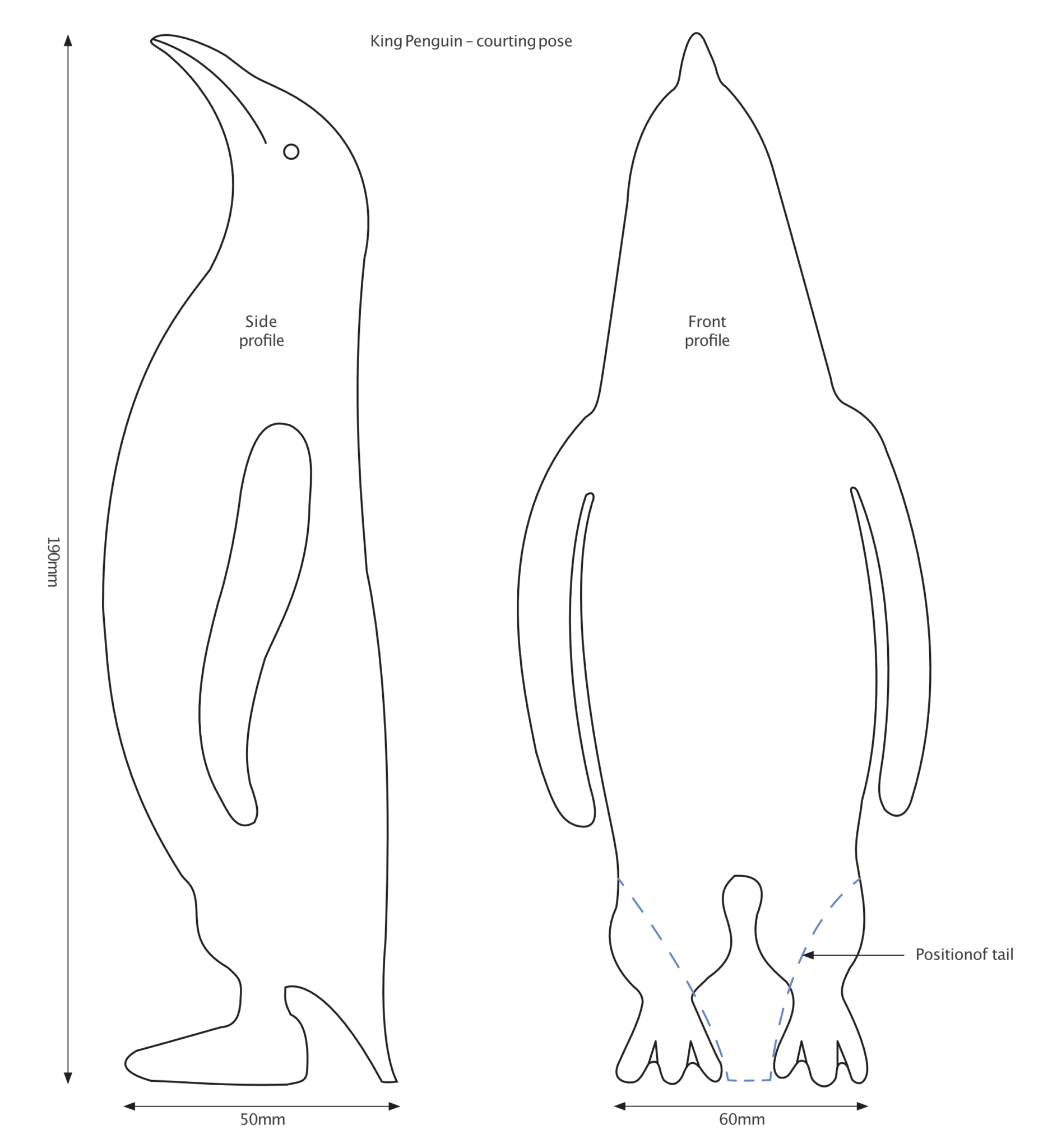 Whittle a King Penguin: Expert Tips & Tools