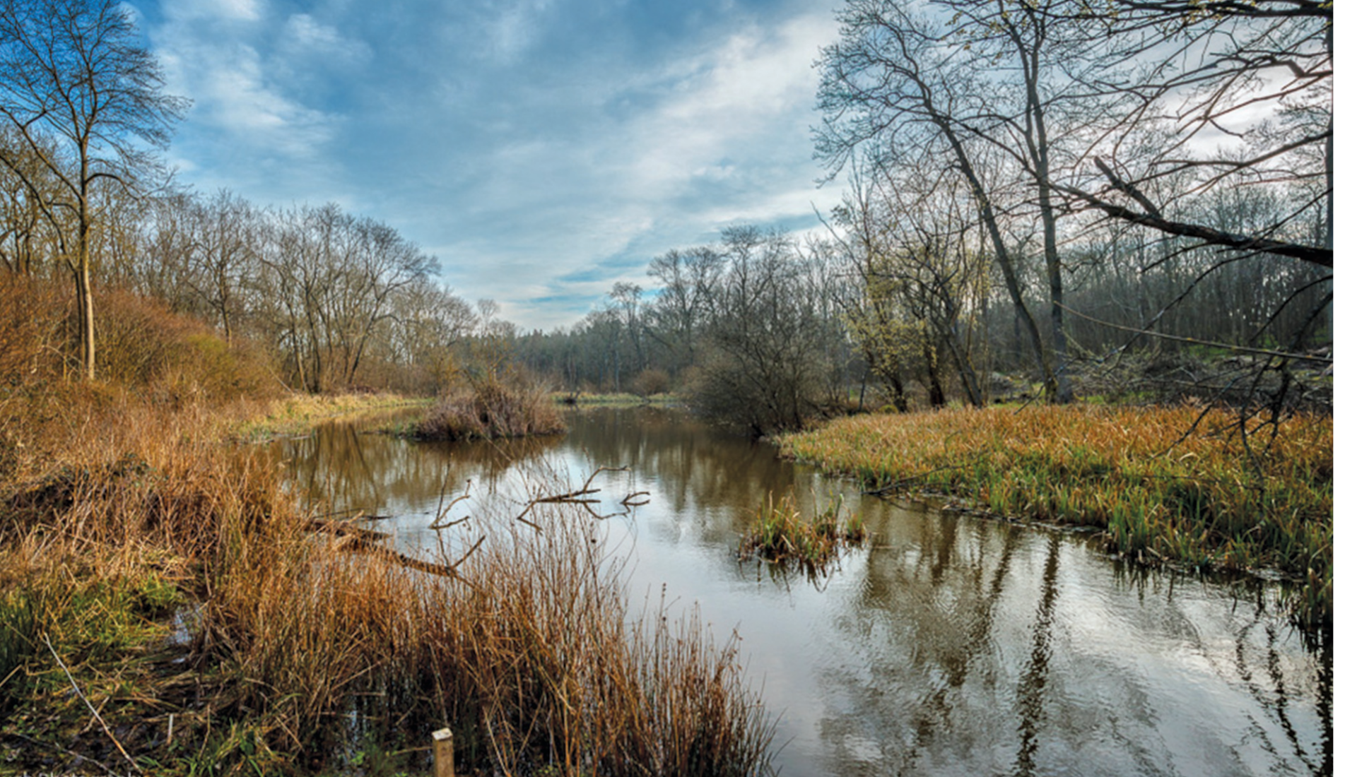 Explore Earth Trust's River of Life II Wetland Project