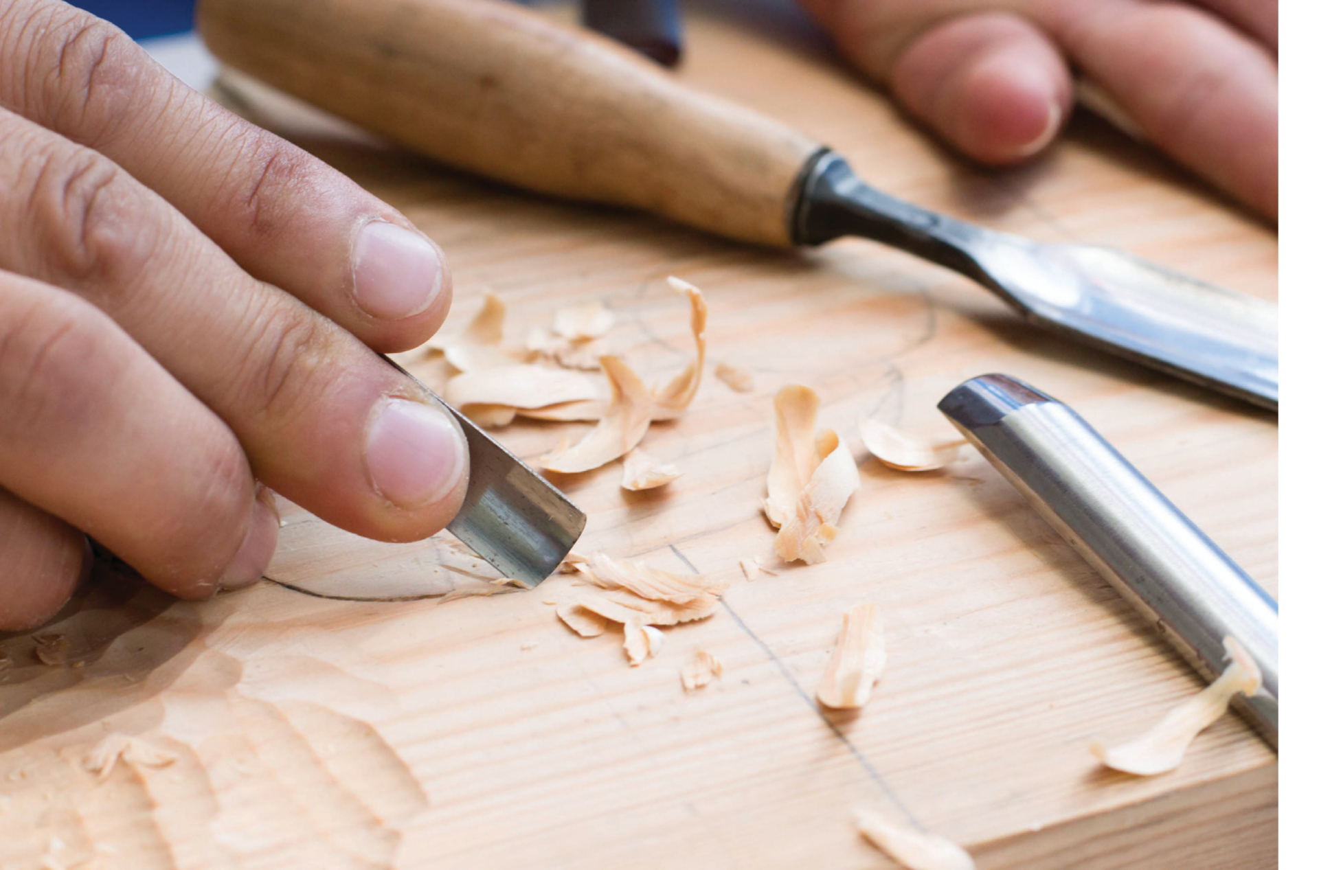 Essential Techniques and Tools for Beginner Carvers