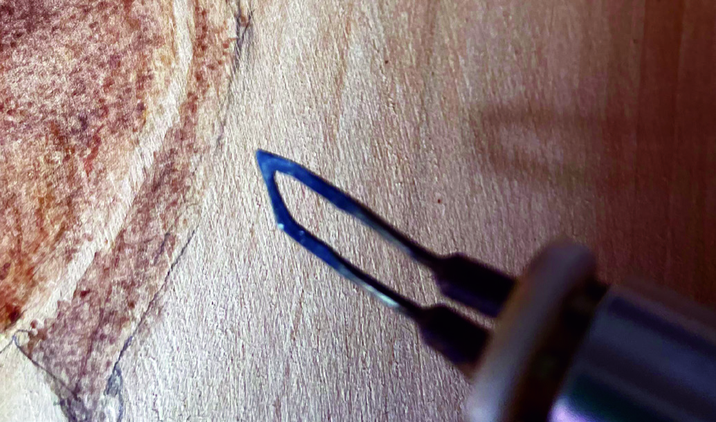 Danielle Dixon Shares Her Journey and Pyrography Techniques