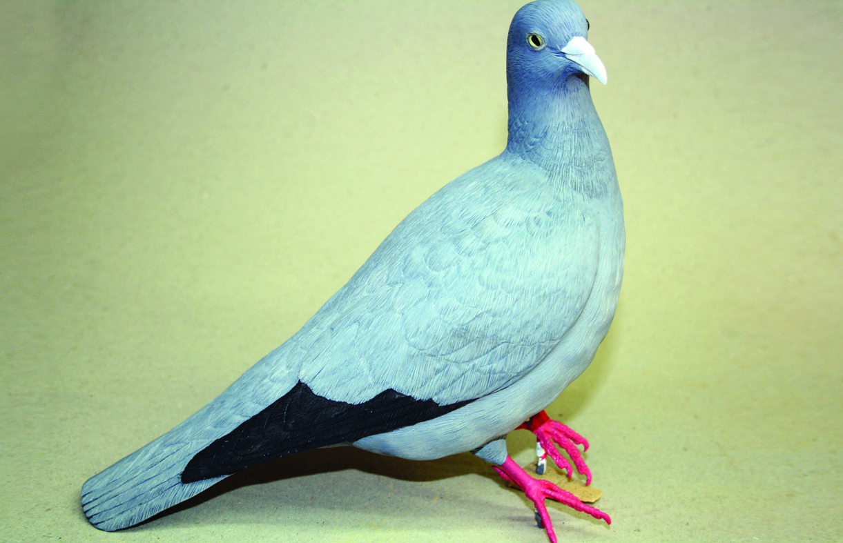 Carve a Beautiful Wood Pigeon: Step-by-Step Guide
