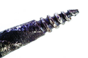 Exploring Gimlets: Humble Tools with a Rich History