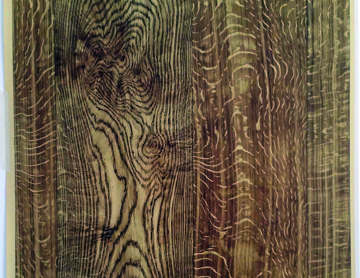Mastering the Art of Oak Wood Graining: Expert Tips & Tricks