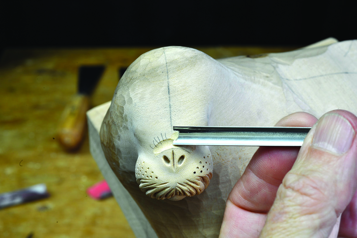Carve a Realistic Bull Walrus: Tips & Tools Guide