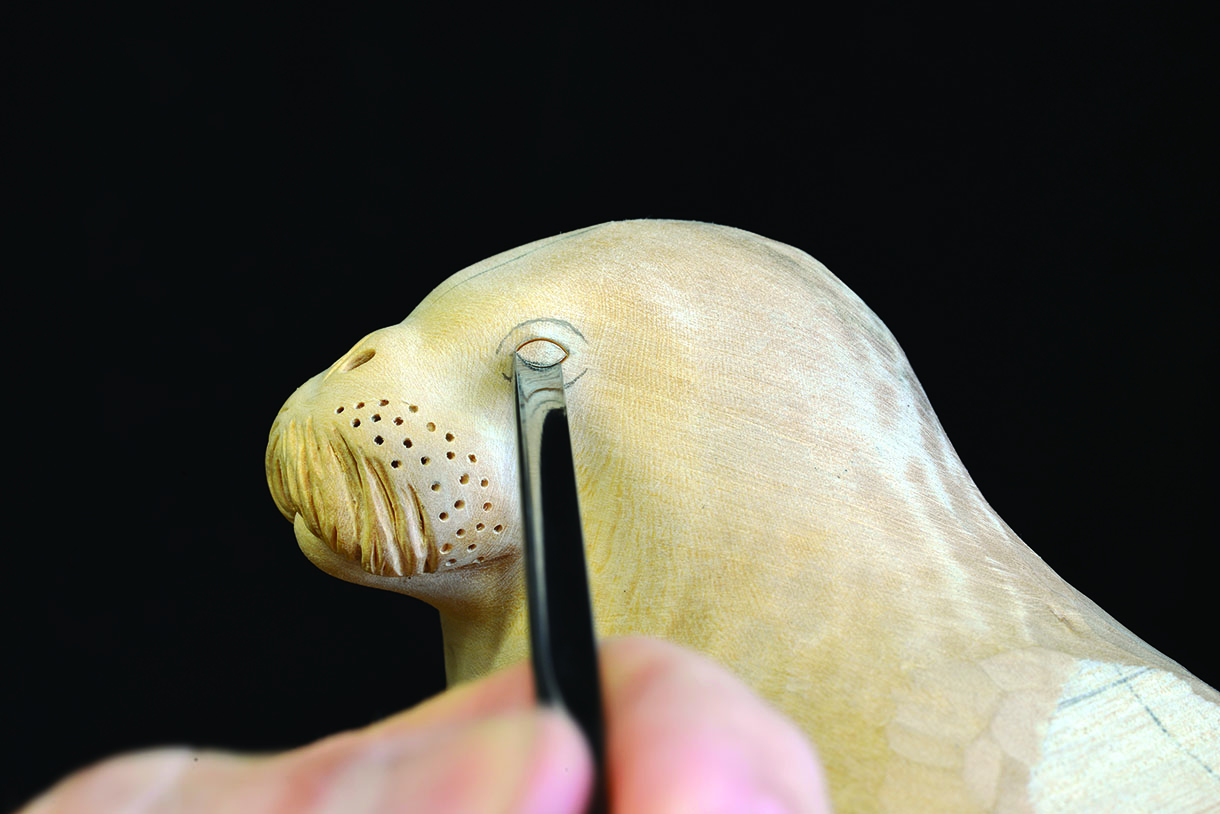 Carve a Realistic Bull Walrus: Tips & Tools Guide