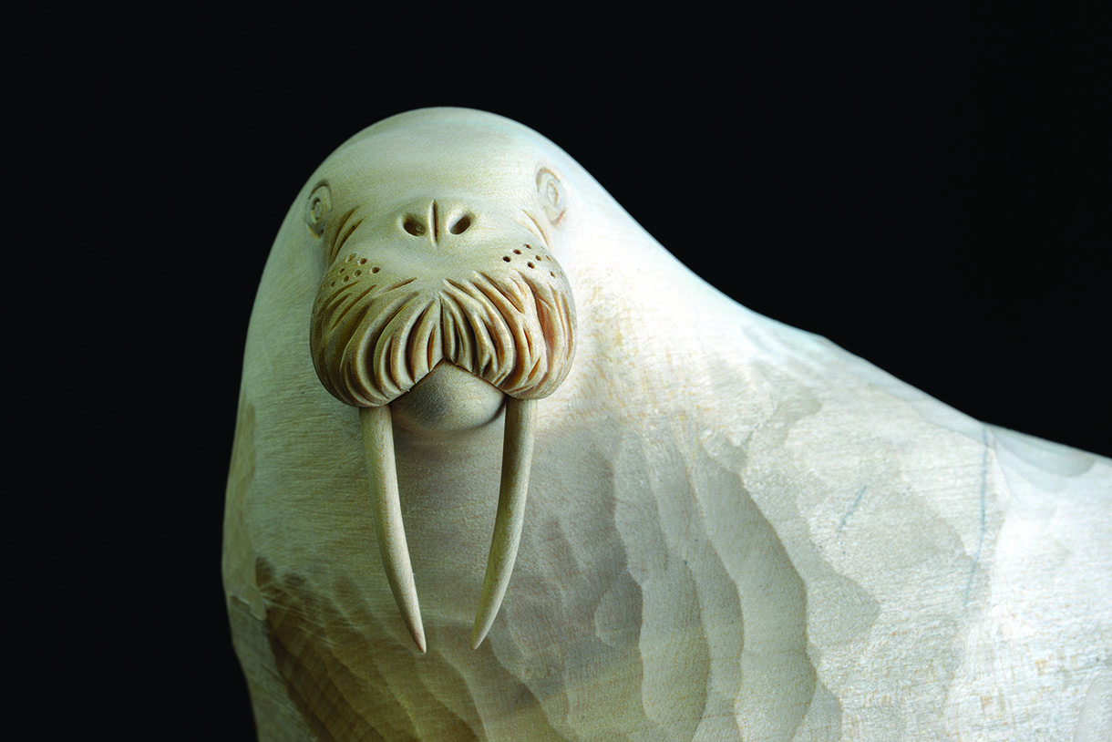 Carve a Realistic Bull Walrus: Tips & Tools Guide