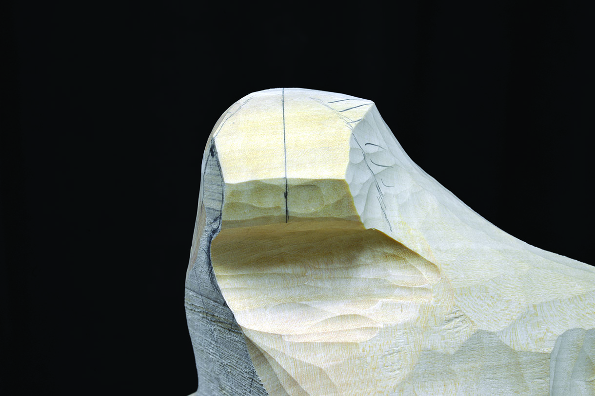 Carve a Realistic Bull Walrus: Tips & Tools Guide