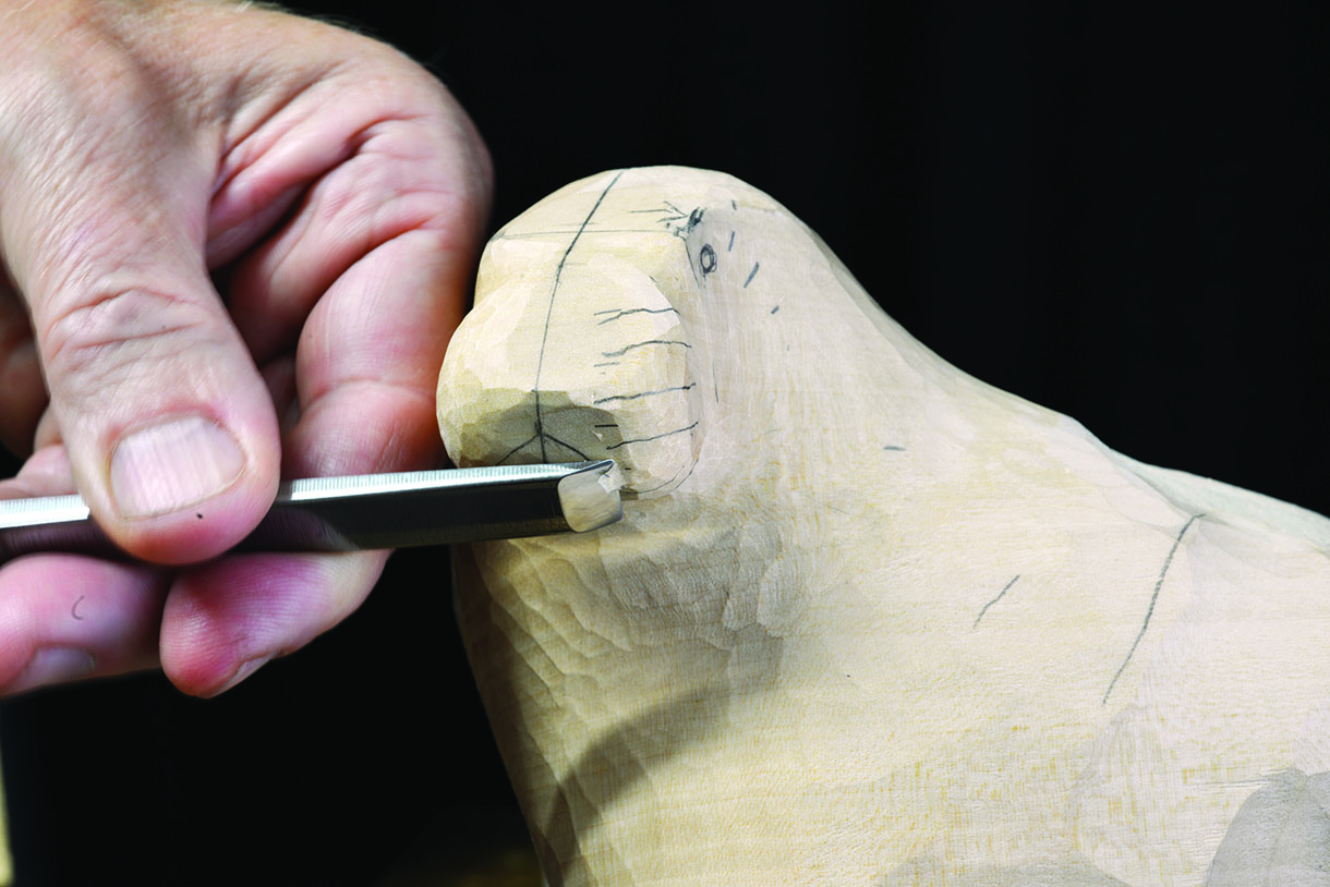 Carve a Realistic Bull Walrus: Tips & Tools Guide