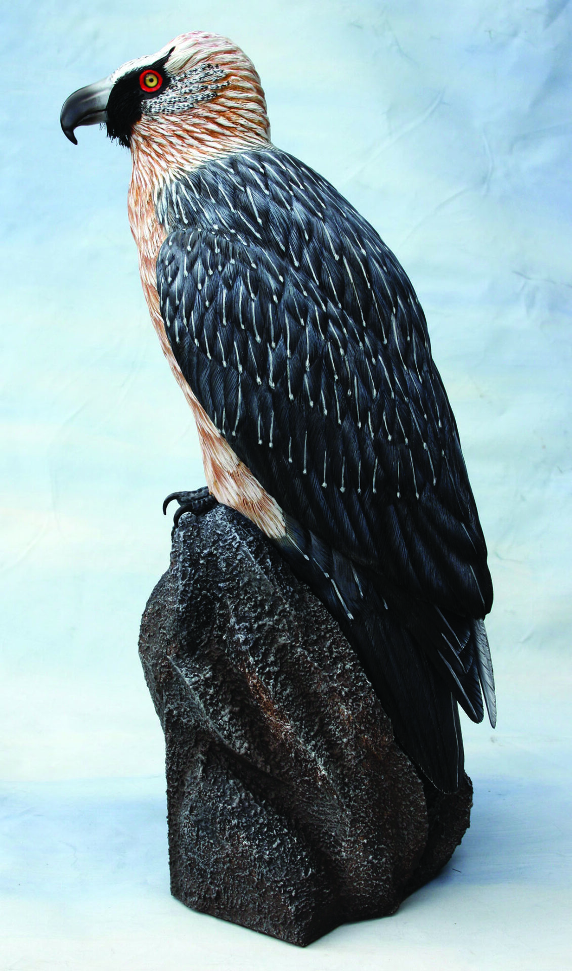 Carve a Bearded Vulture with Mike Wood's Expert Guide