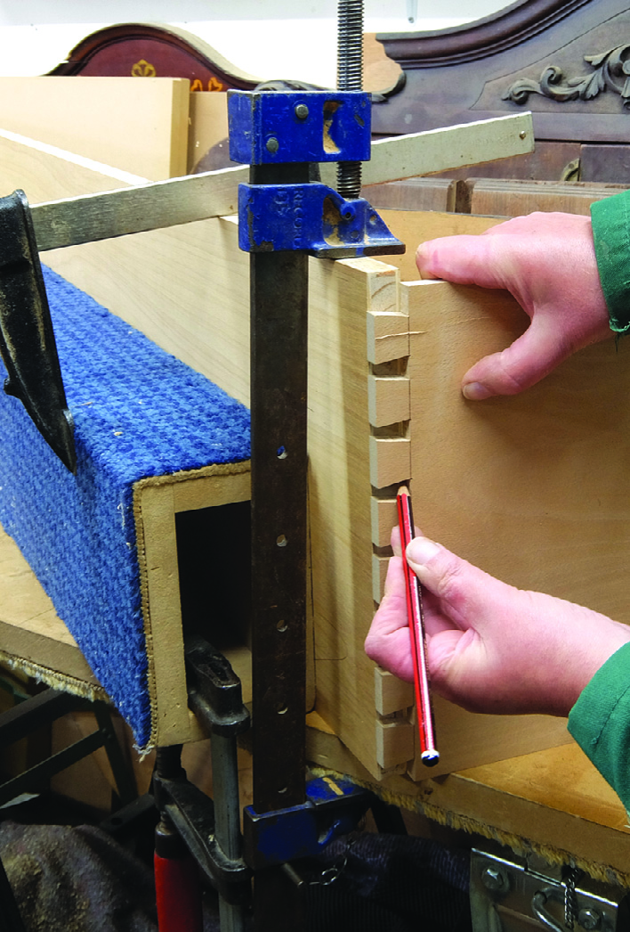 Build an Intricate Tulipwood Bookcase with Apotropaic Style