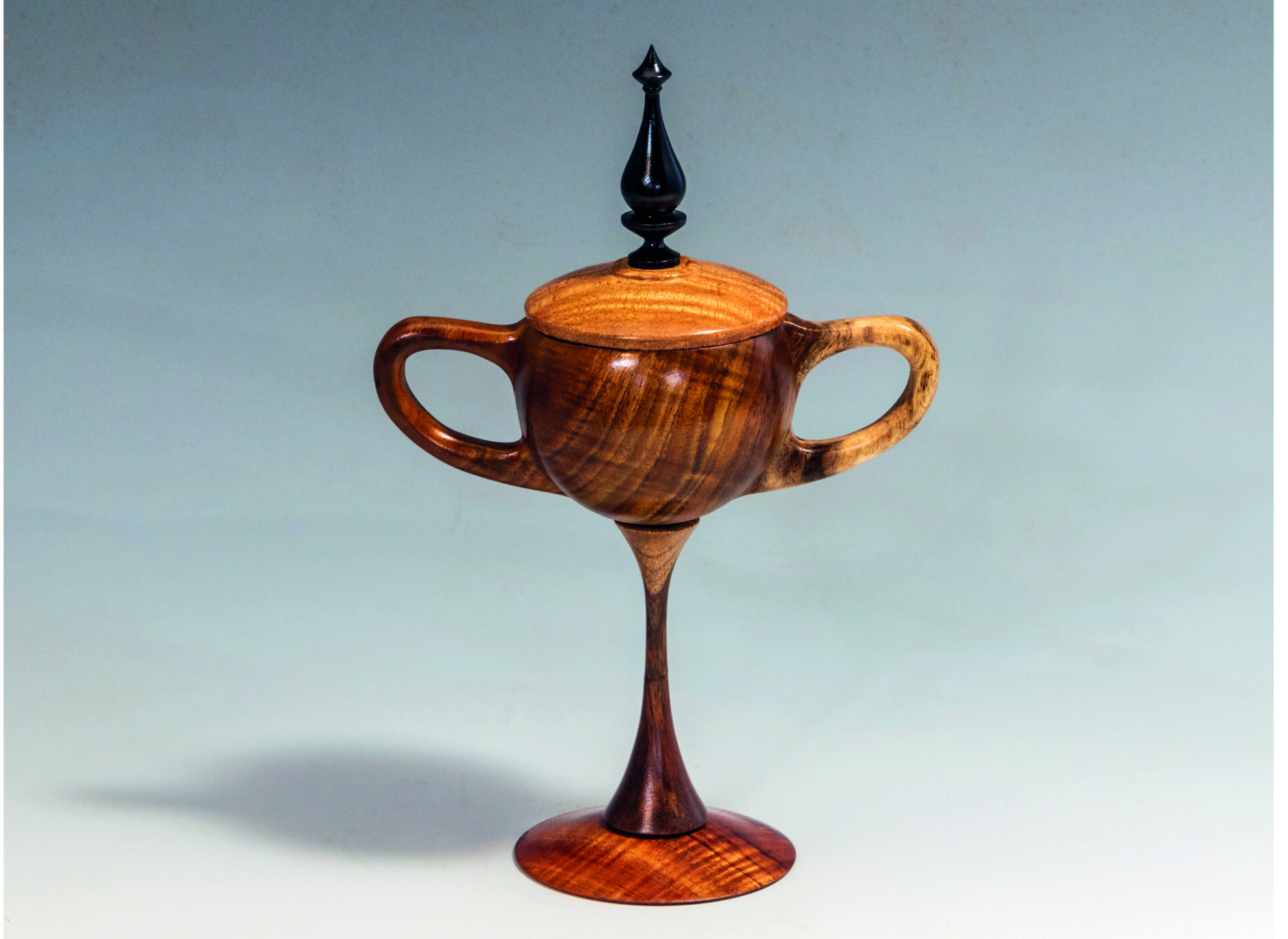 Crafting Unique Wooden Goblets with Troy Grimwood
