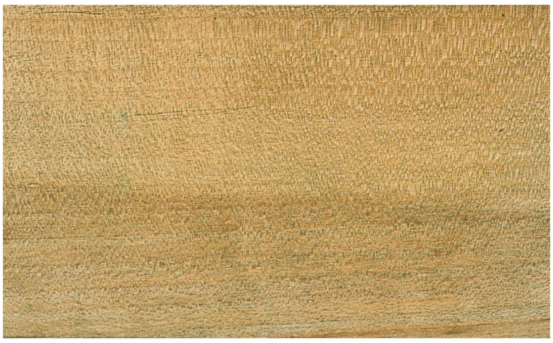 Identify Common Wood Types with Visual Aids