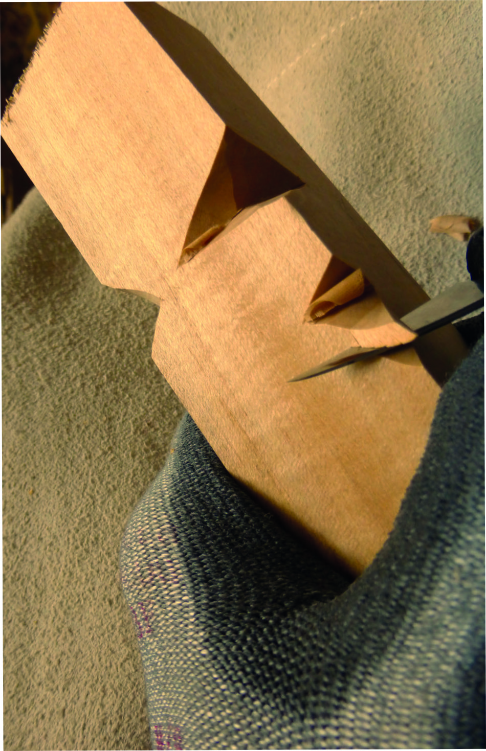 Carving an Albatross: Graceful Winged Art Project