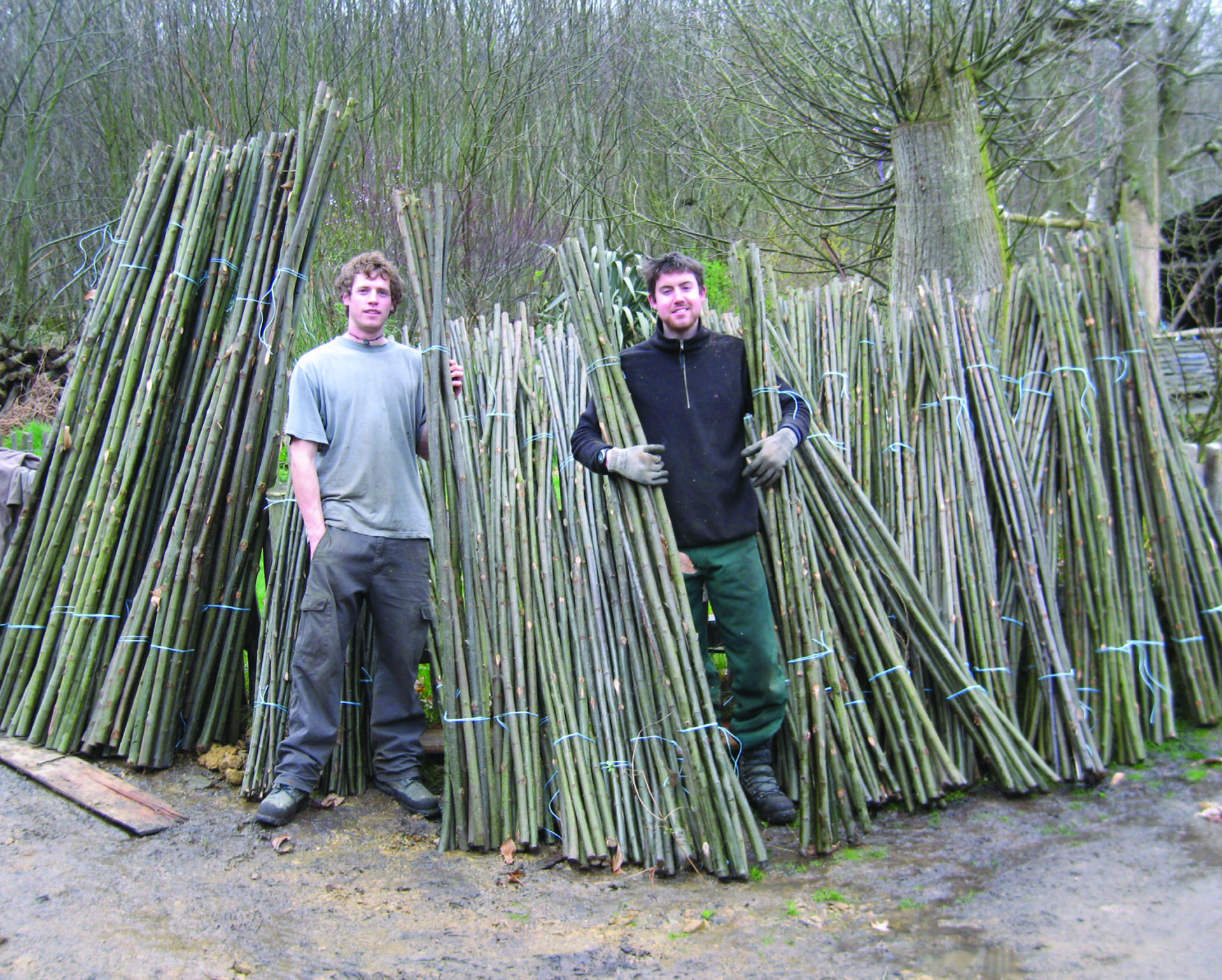 Build a Traditional Yurt: DIY Guide & Materials