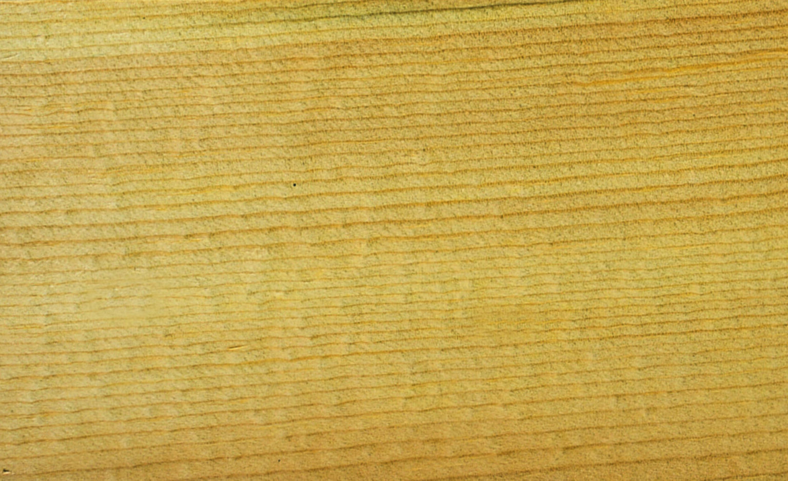 Identify Common Wood Types with Visual Aids