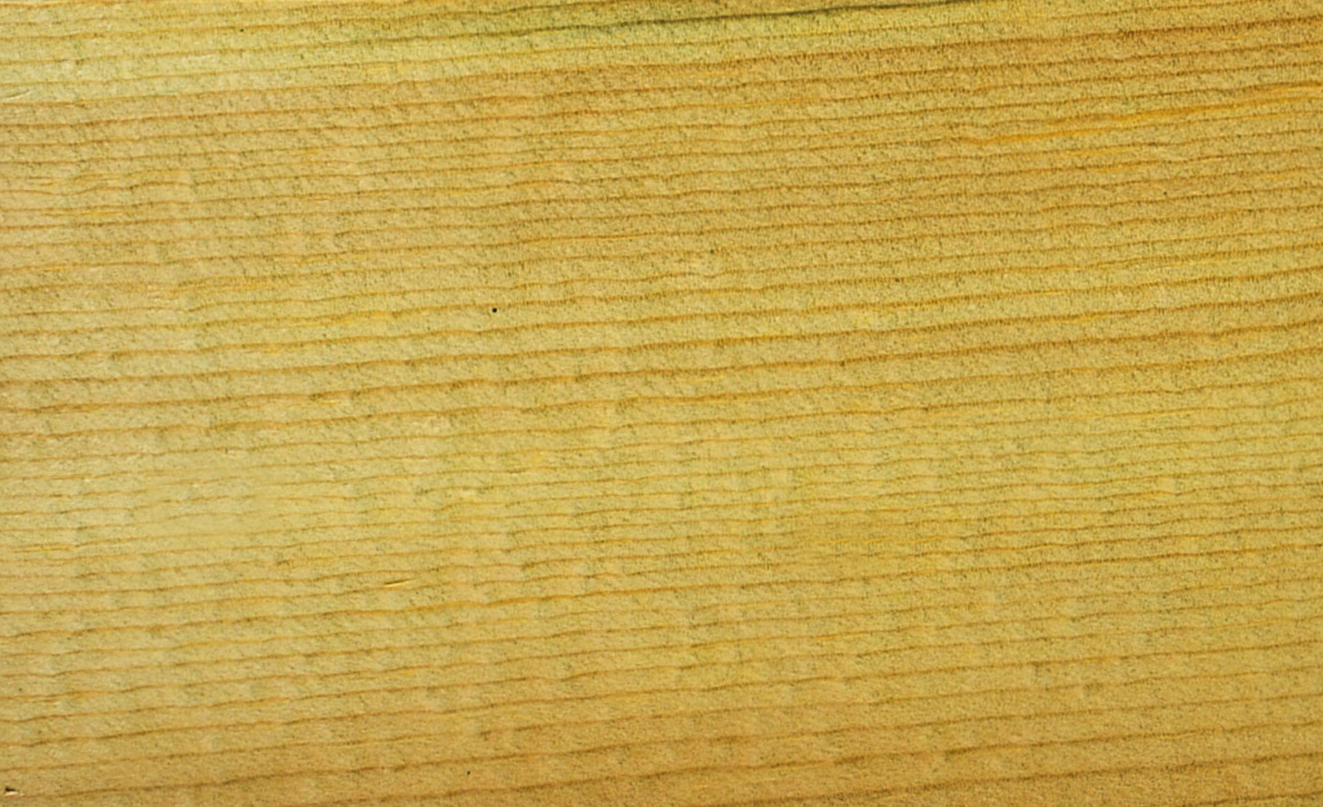 Identify Common Wood Types with Visual Aids