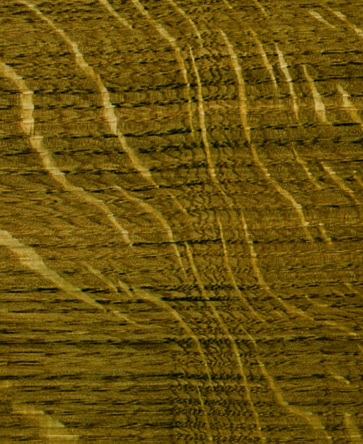 Identify Common Wood Types with Visual Aids