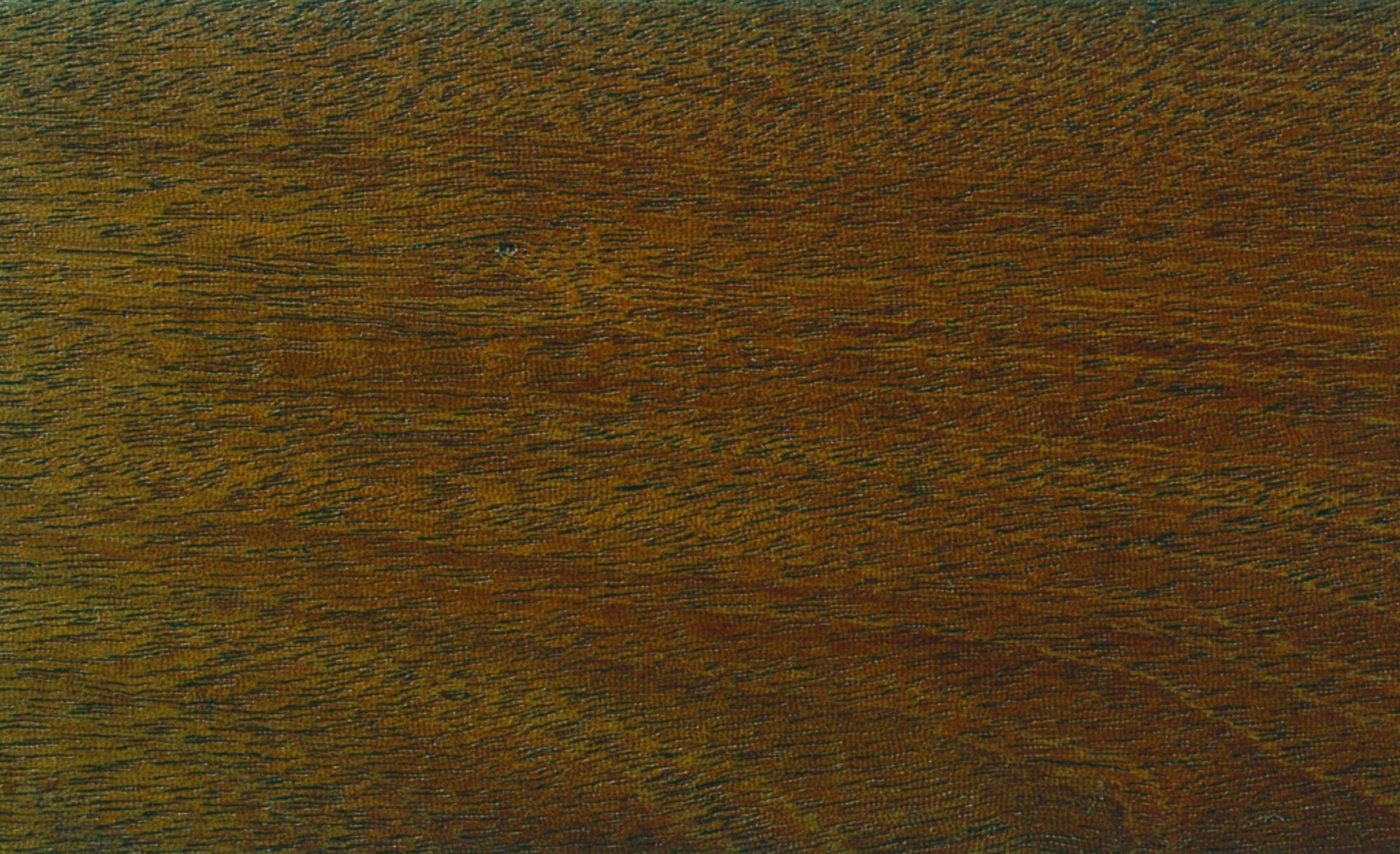 Identify Common Wood Types with Visual Aids