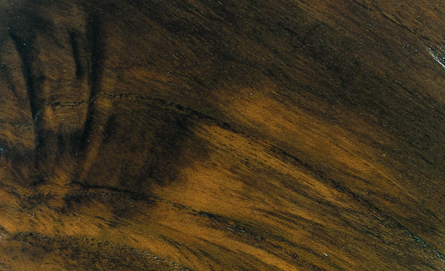 Identify Common Wood Types with Visual Aids