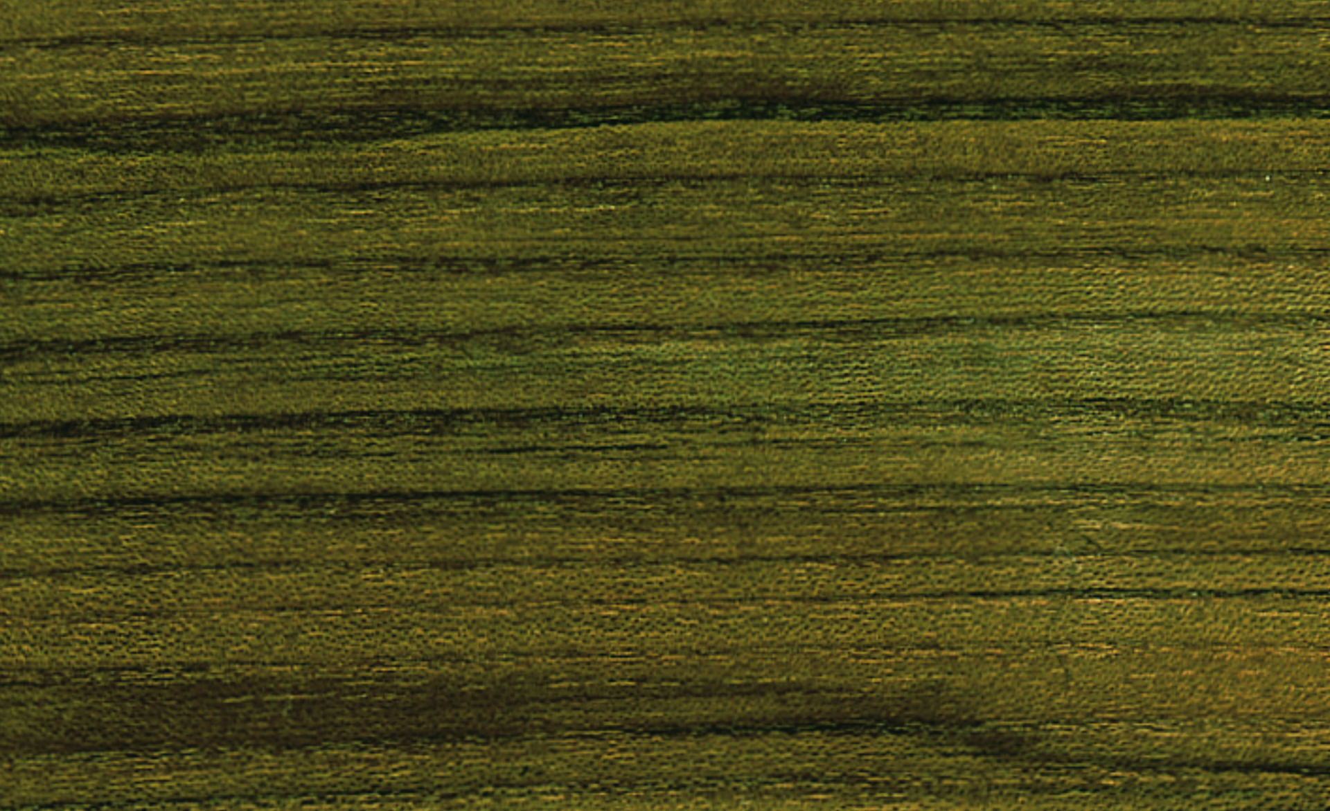 Identify Common Wood Types with Visual Aids