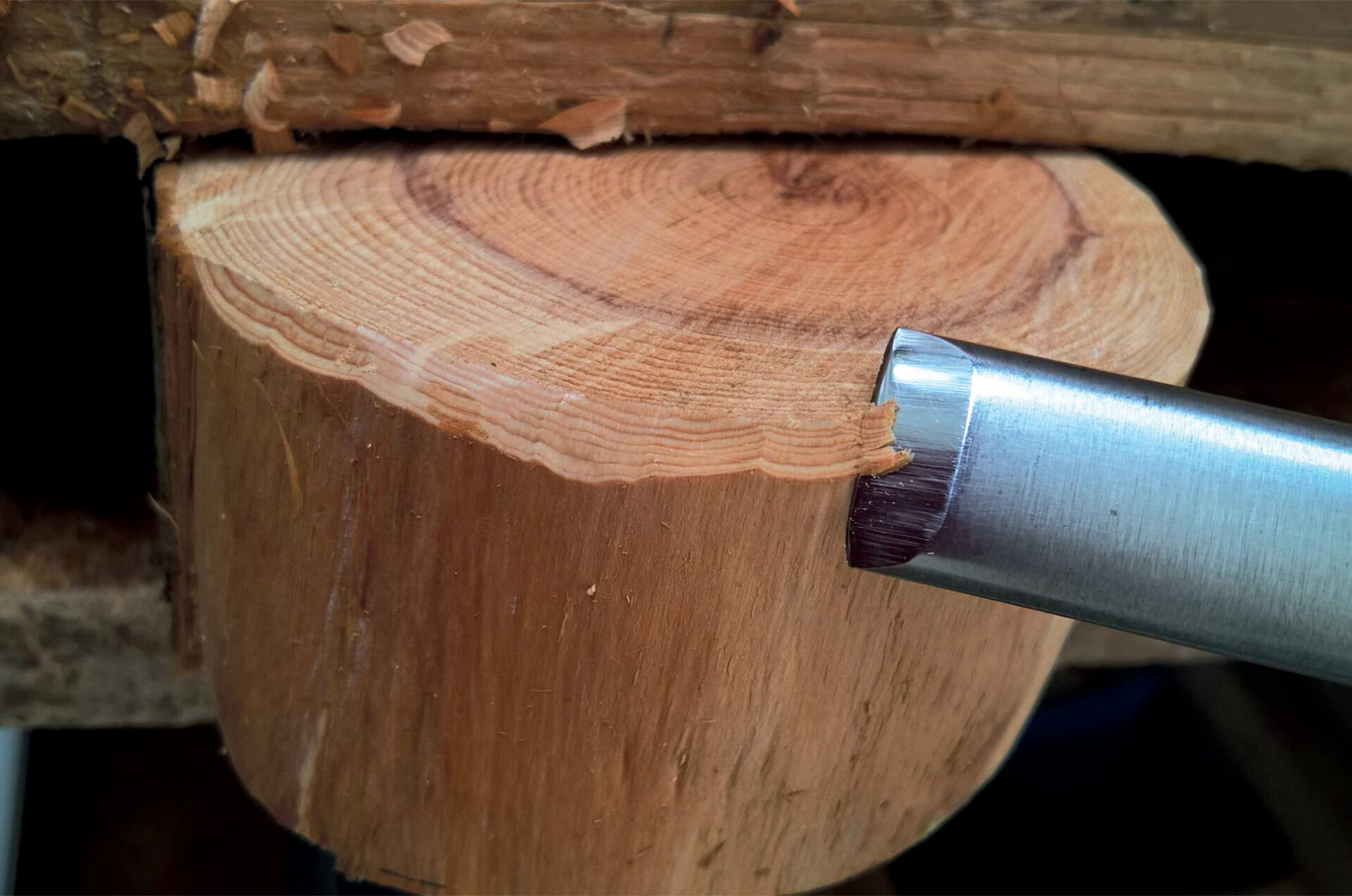 Master Woodcarving: Create Pets from Tree Trunks